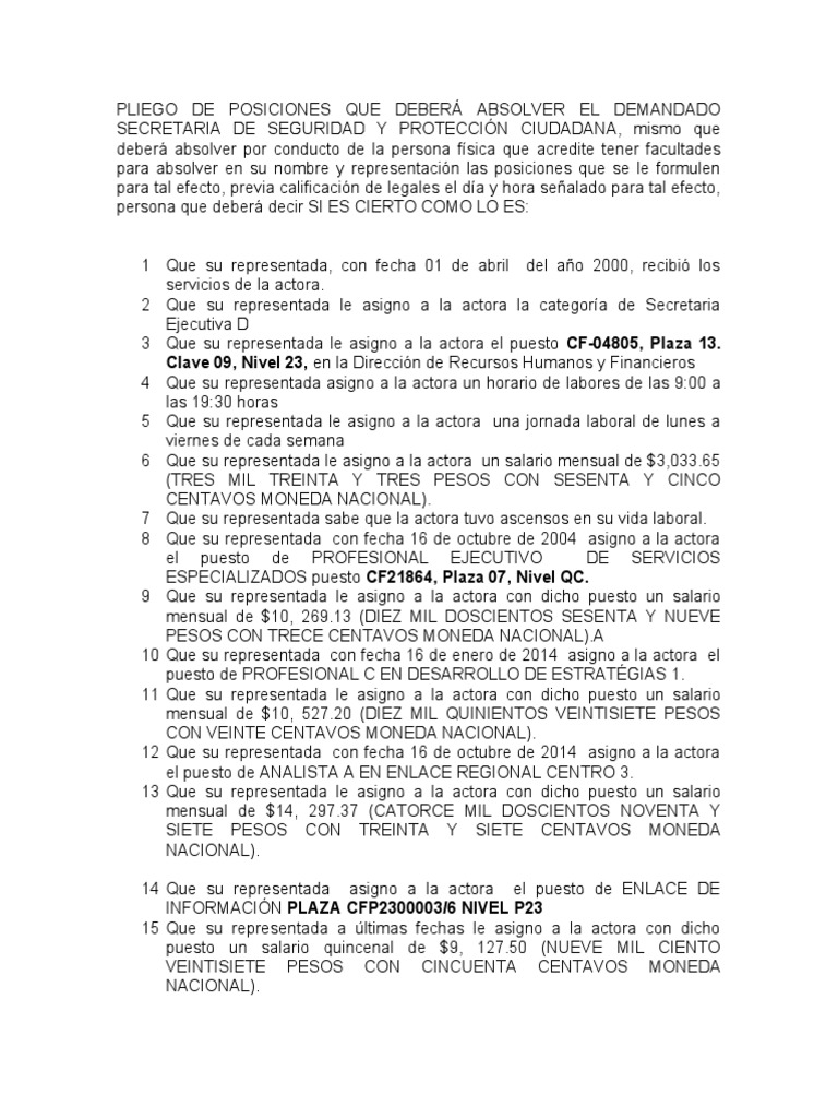 Pliego de Posiciones Formato | PDF | Salario