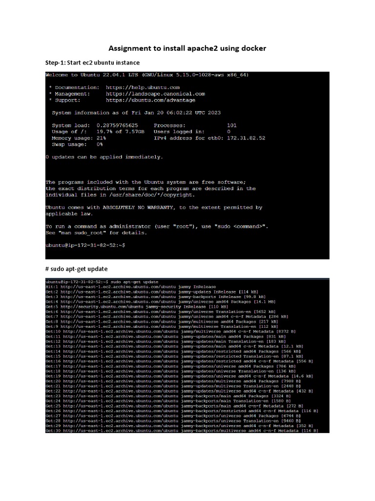 Assignment To Install Apache2 Using Docker | PDF