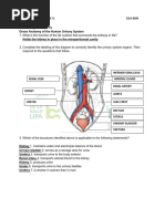 DIFFUSION Laboratory Report | PDF | Diffusion | Gases