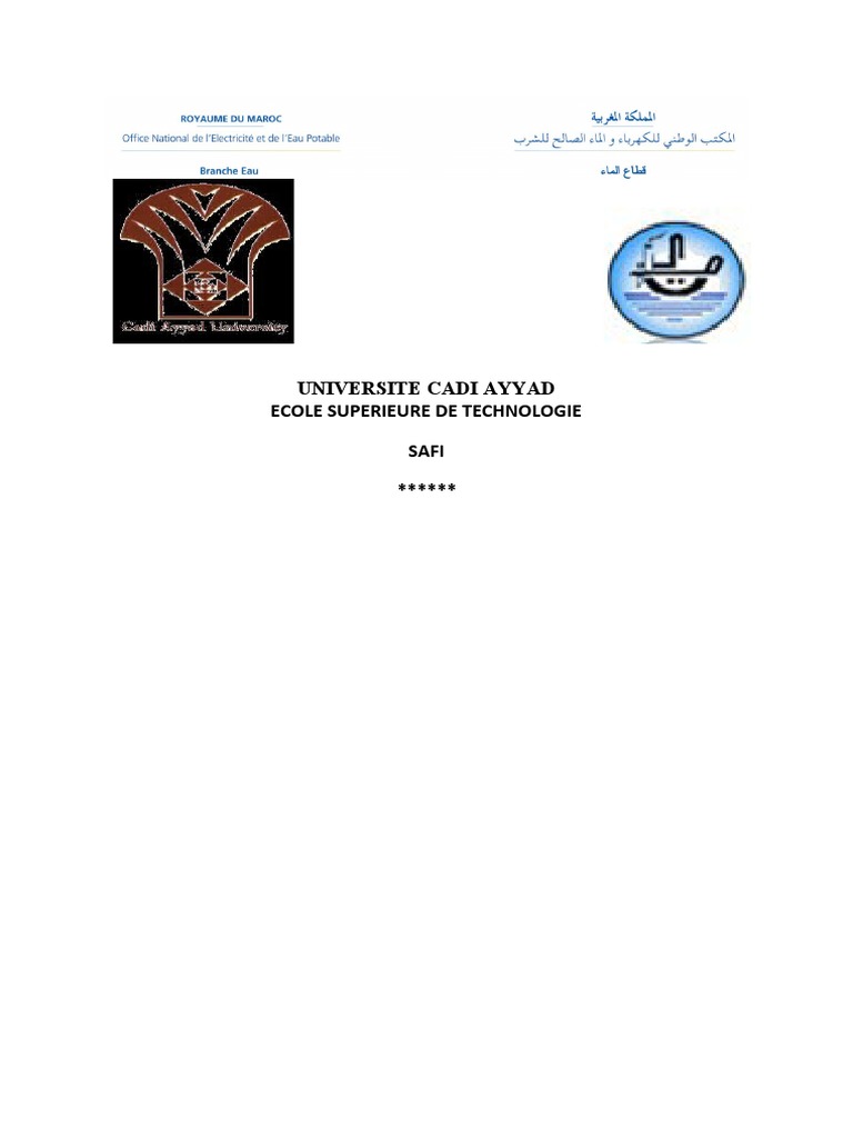 Rapport Onep | PDF | Banques | Application