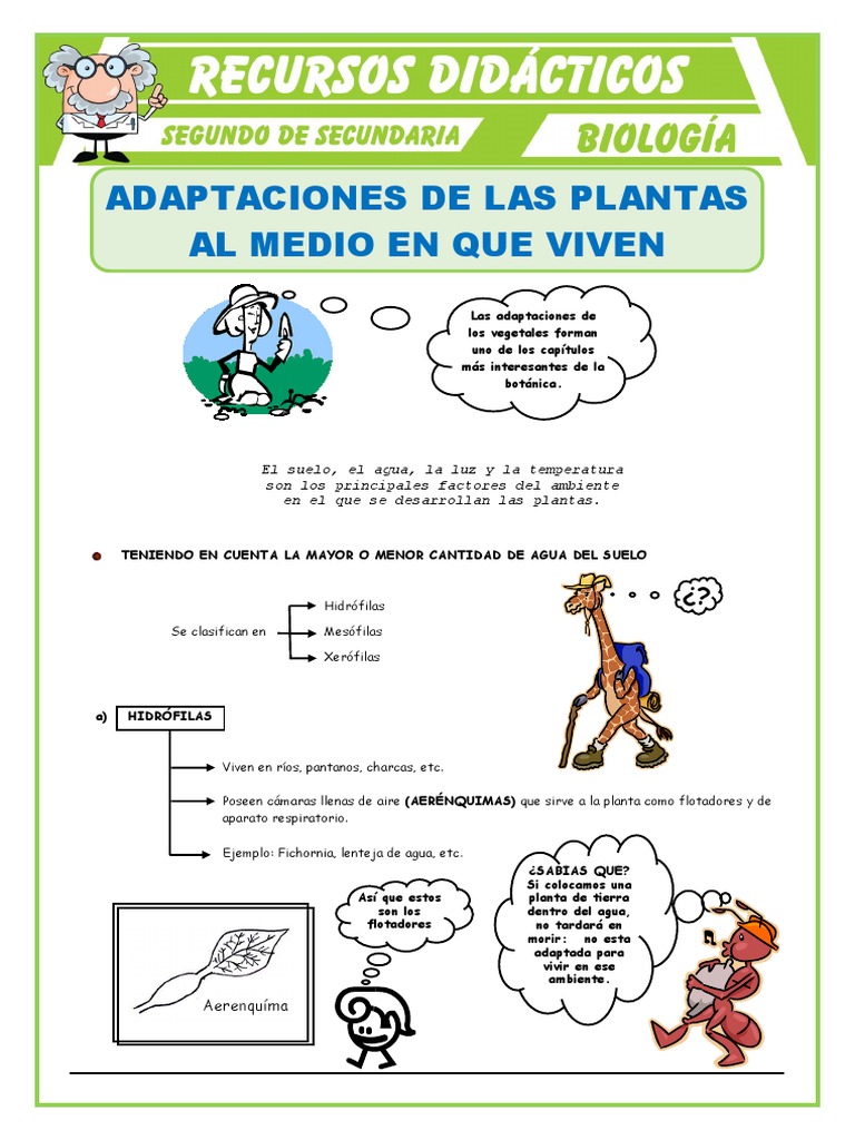 Adaptaciones de las Plantas al Medio | PDF | Plantas | Biología