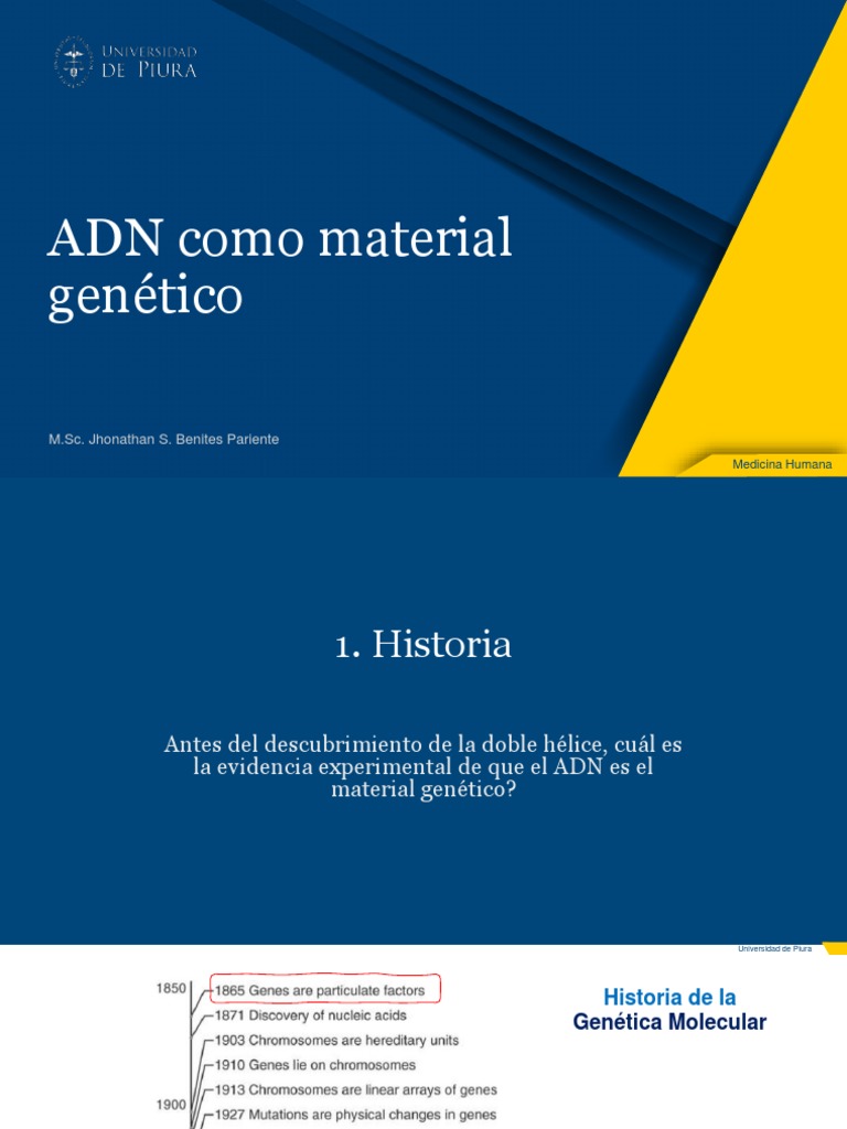 1 - Estructura Del Genoma - ReplicaciÃ N Del ADN | PDF | Adn | Replicación De Adn