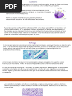 Proteus Ox-19 y Rickettsiosis: Guía Clínica | PDF | Organismos ...