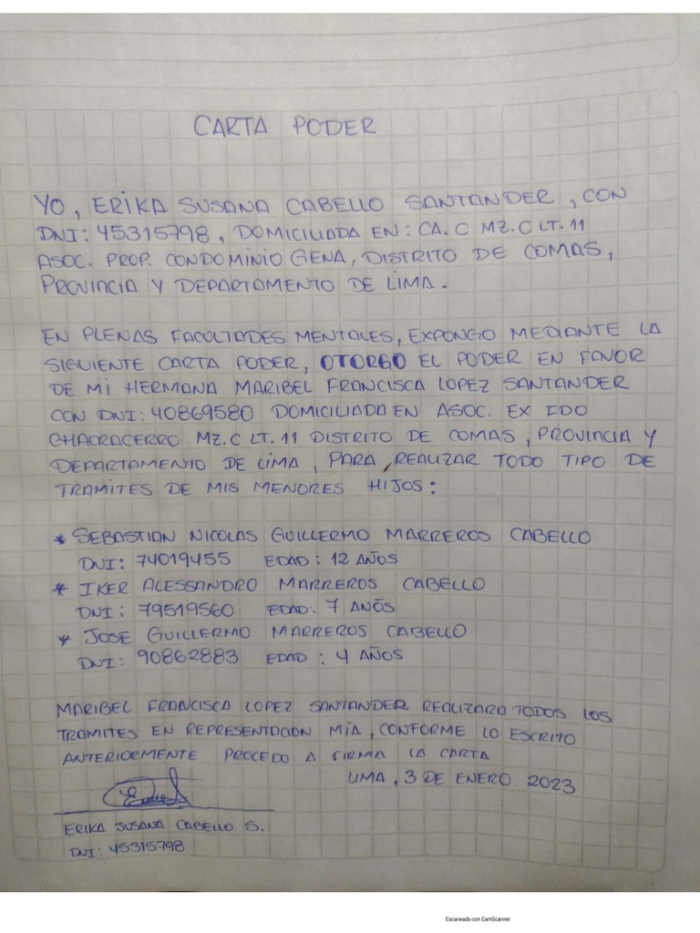 Carta Poder 1 | PDF