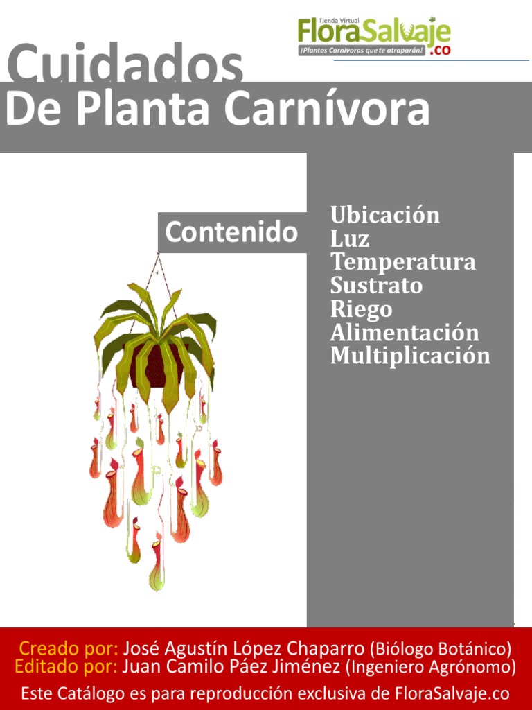 Cuidados Planta Nepenthe | PDF | Plantas | Organismos
