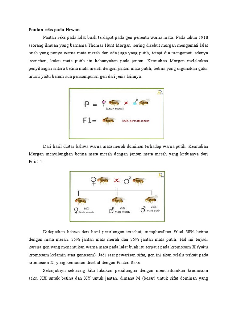 Pautan Seks Pada Hewan | PDF