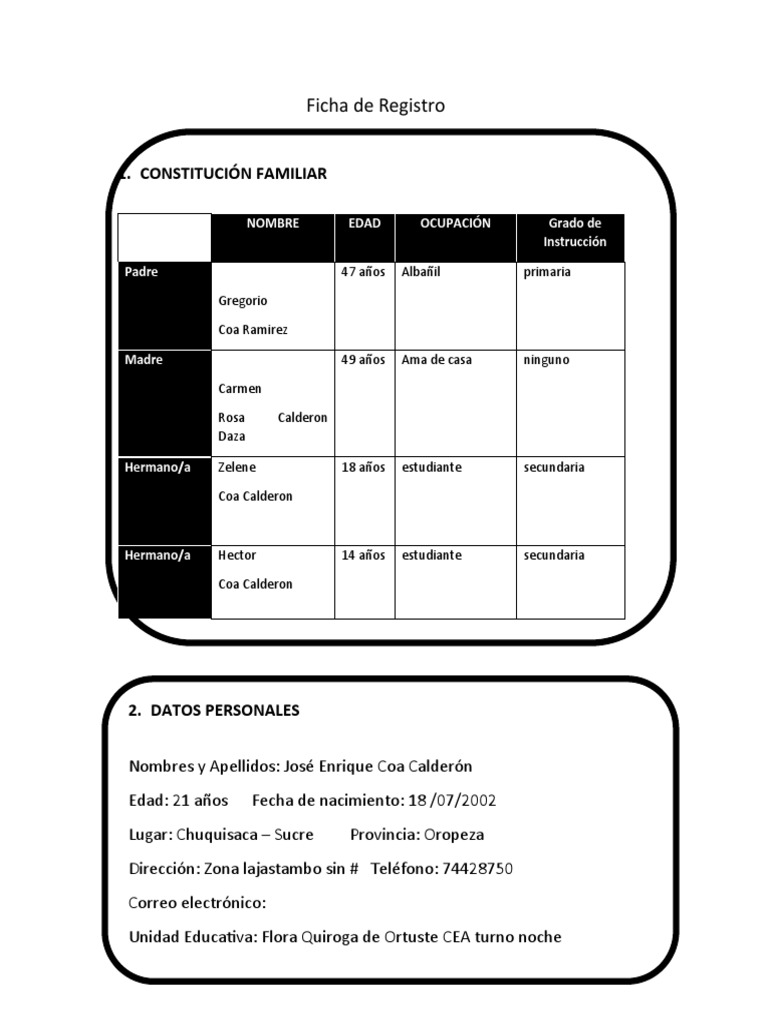 Ficha de Registro: 1. Constitución Familiar | PDF | Salud y bienestar