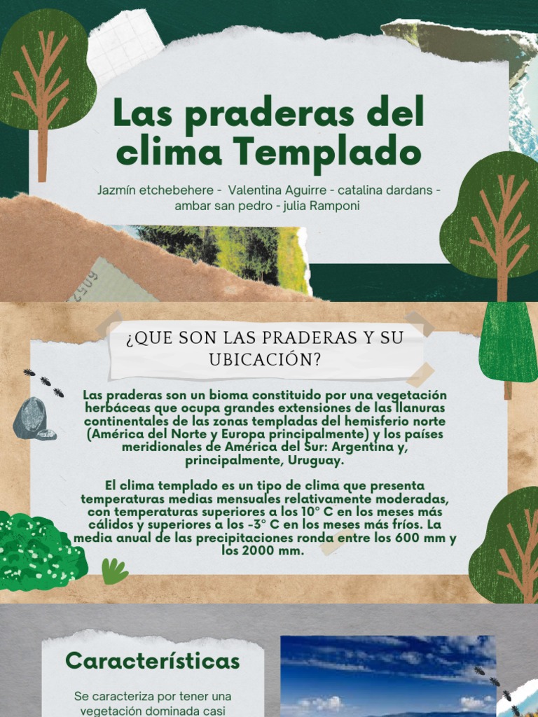 Las Praderas Del Clima Templado | PDF | Clima templado | Clima
