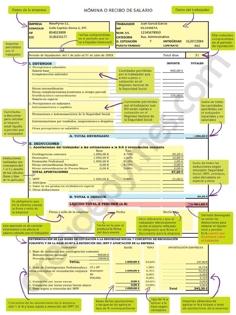 Nomina Explicada | PDF