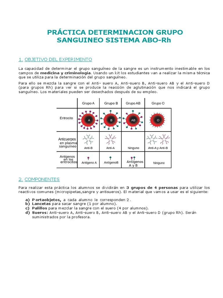 Práctica Determinación Sistema Ab0 RH | PDF
