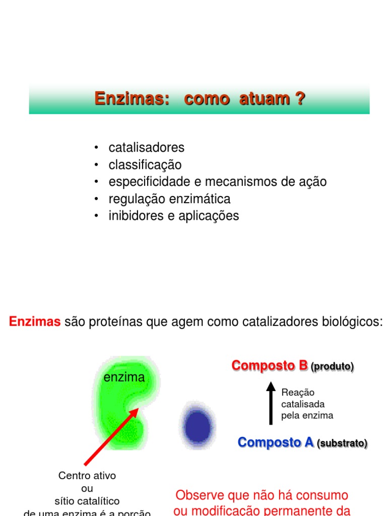 Aula Enzimas | PDF | Enzima | Catálise