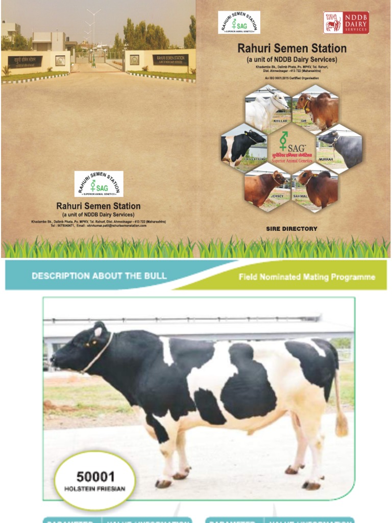 SAG | PDF | Cattle | Milk