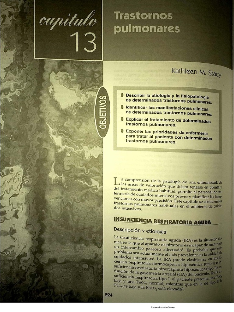 Unidad 13 Brunner | PDF