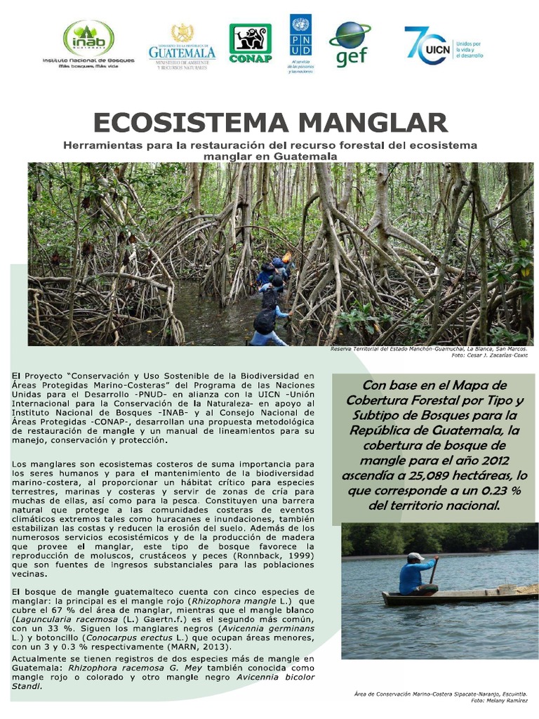 Mangle | PDF