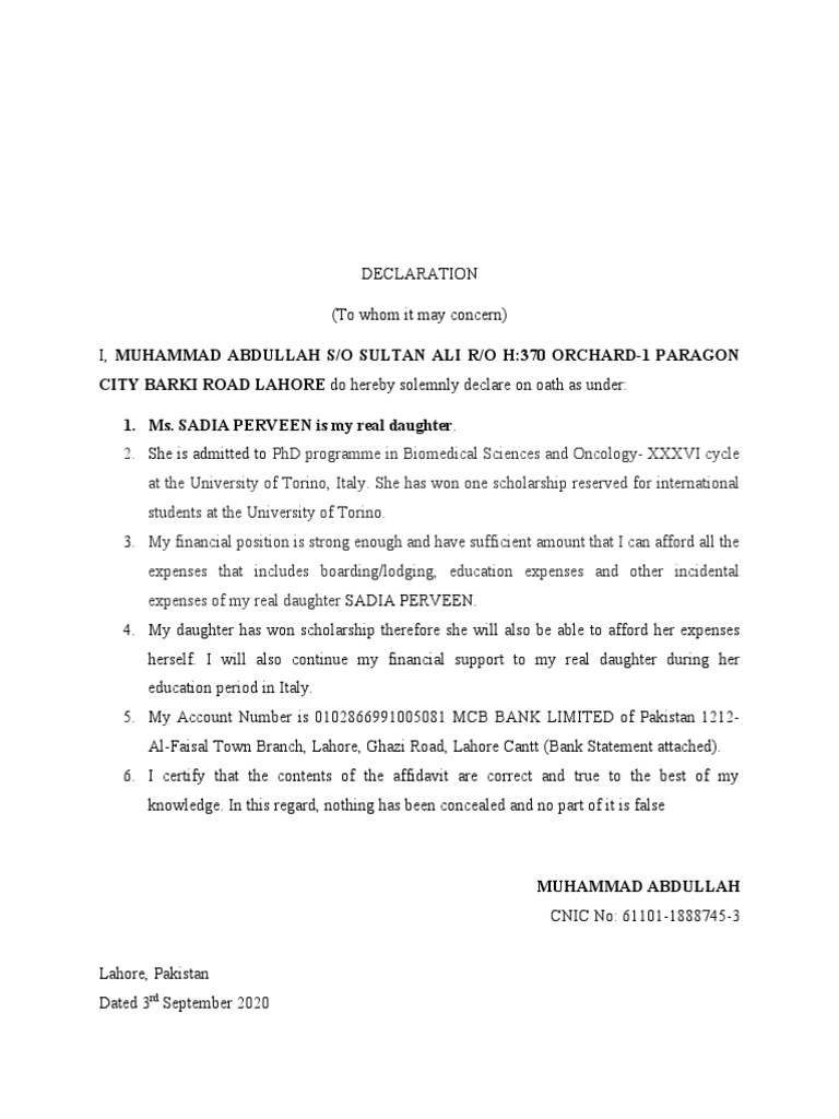 Affidavit Pdf Business