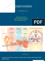 Anat Physio ORL | PDF | Oreille | Système vestibulaire