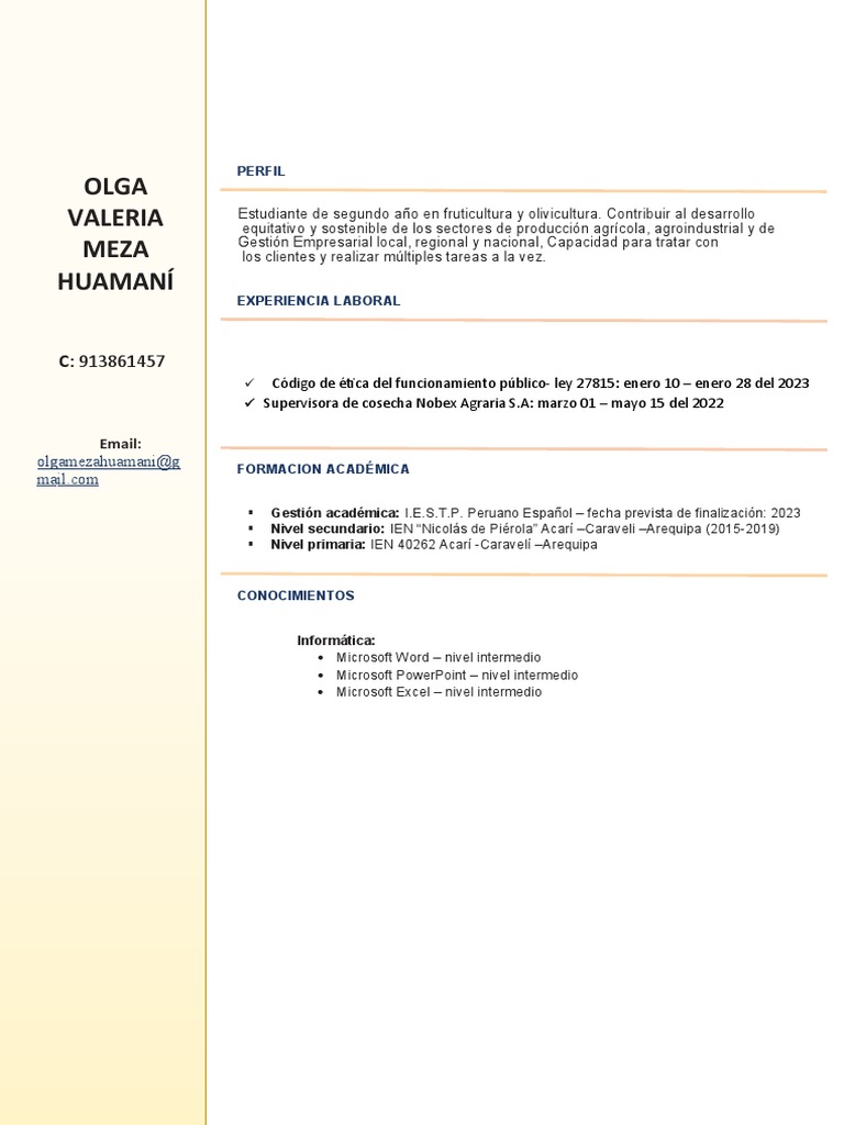 CV Olga Meza | PDF