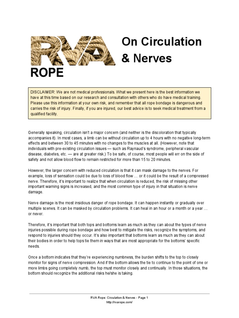 Rva Rope Circulation And Nerves Pdf Hand Anatomical Terms Of Motion