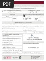 AM-SRT Formato Editable | PDF