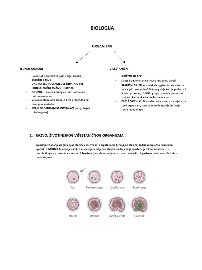 Biologija: Organizmi | PDF