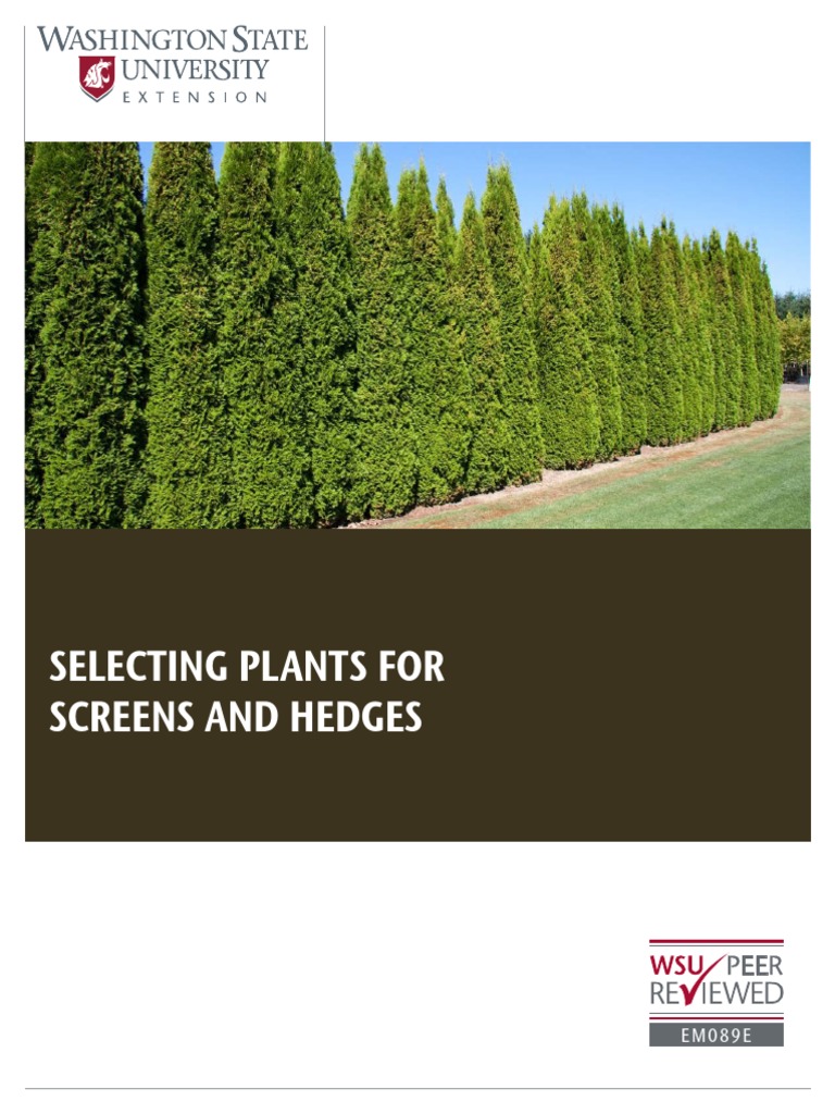 Selecting Plants For Screens and Hedges | PDF | Hedge | Fir