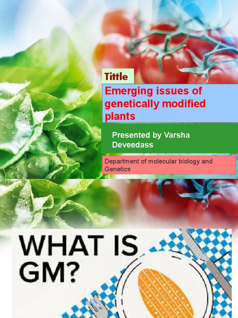 Genetically Modified Plants | PDF | Genetic Engineering | Genetically ... Genetically Modified Plants | PDF | Genetic Engineering | Genetically ...