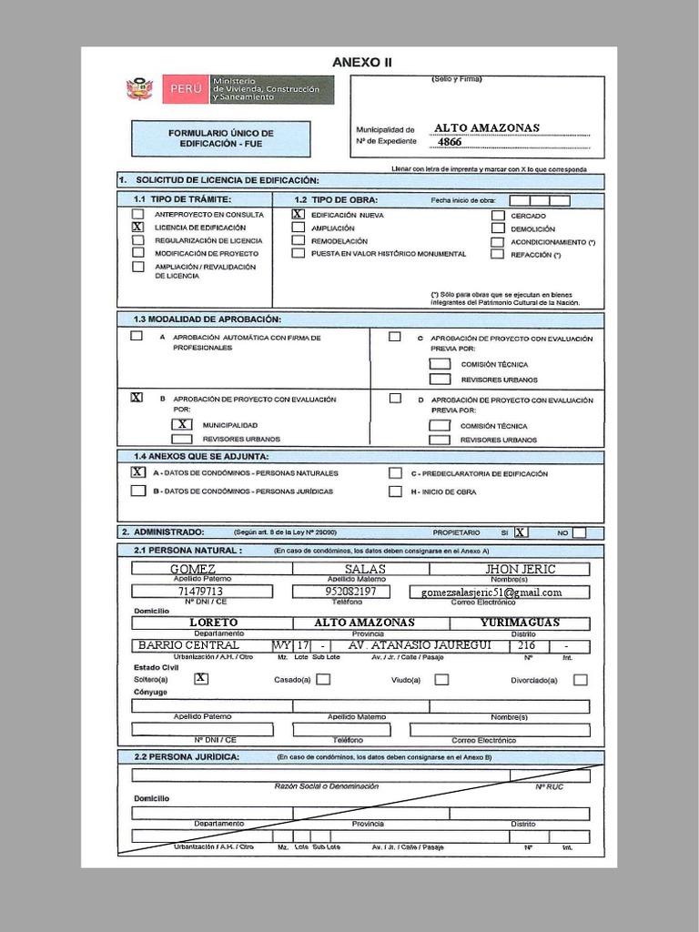 Formato Fue Anexo Ii | PDF