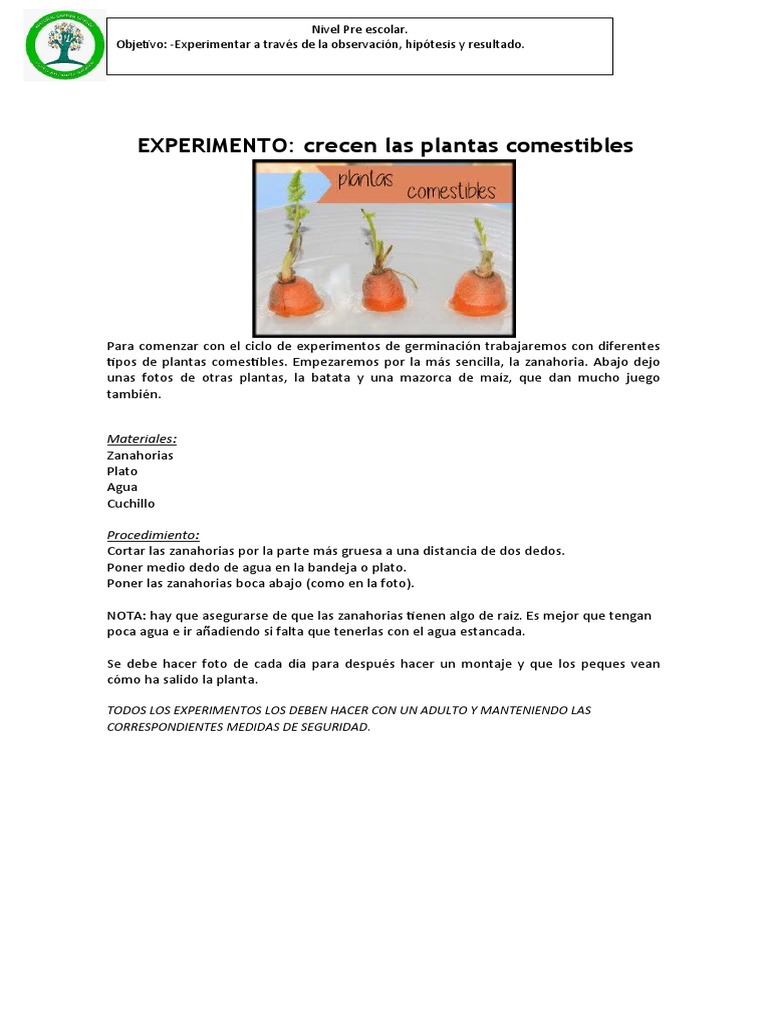 Experimentos Sobre Cómo Crecen Las Plantas