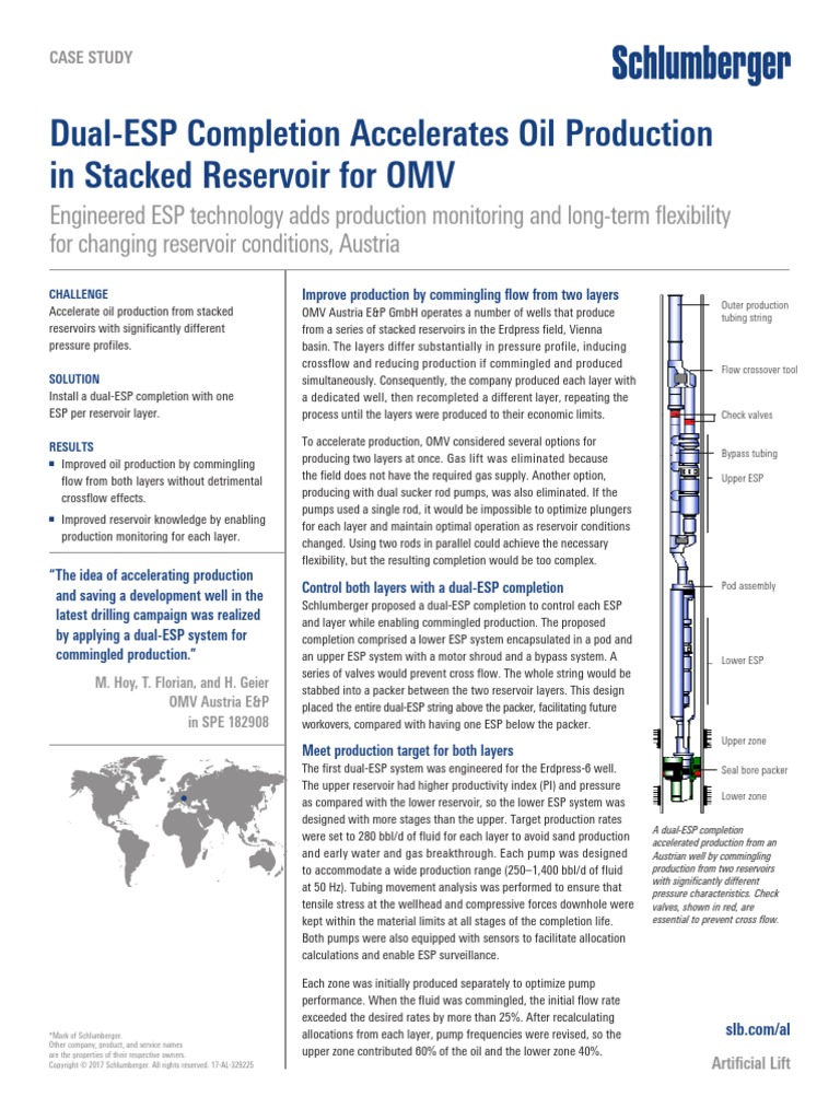 Dual Esp Austria Cs | PDF | Petroleum Reservoir | Extraction Of Petroleum
