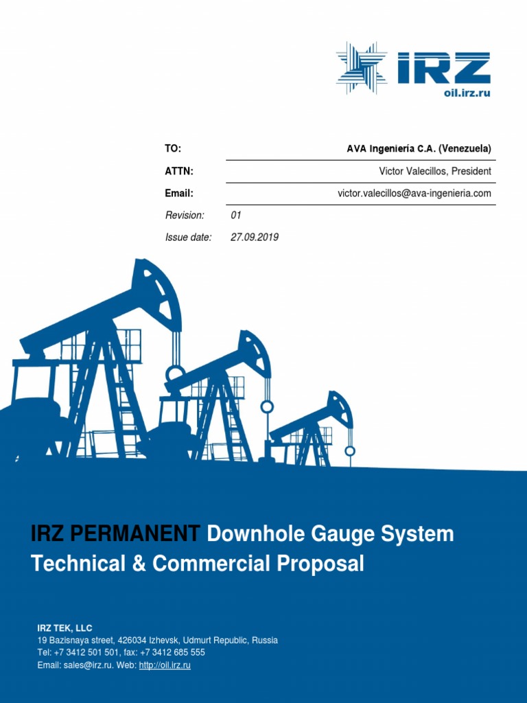 Irz Permanent: Downhole Gauge System Technical & Commercial Proposal | PDF | Usb | Personal ...
