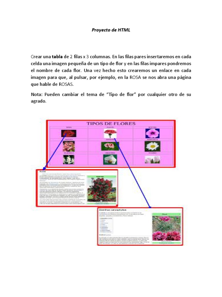 Proyecto de HTML | PDF