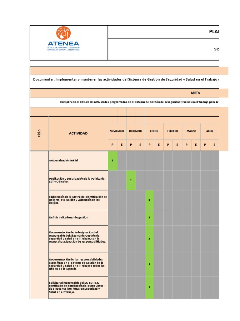 Plan Anual de Seguridad y Salud Laboral | PDF