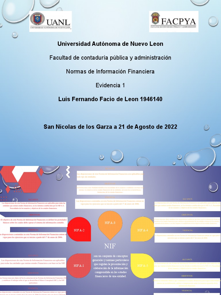 Evidencia 1 Nif | PDF