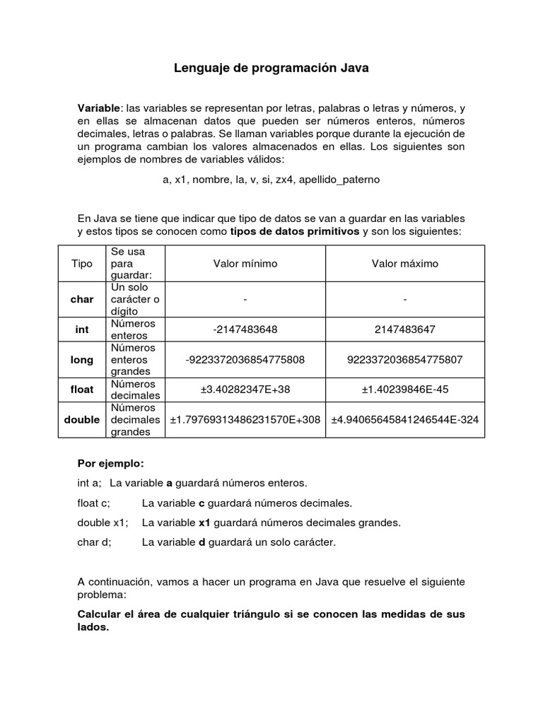 Lenguaje De Programación Java Pdf Tipo De Datos Java Lenguaje De Programación