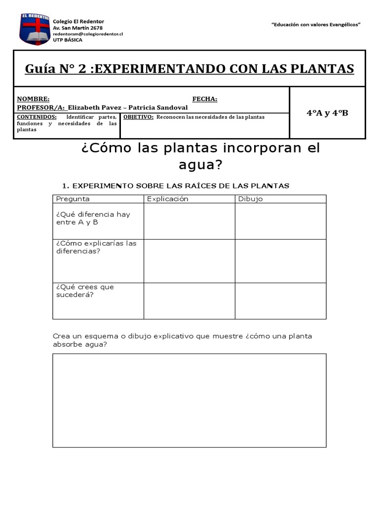 Guía 2 Experimentando Con Las Plantas | PDF