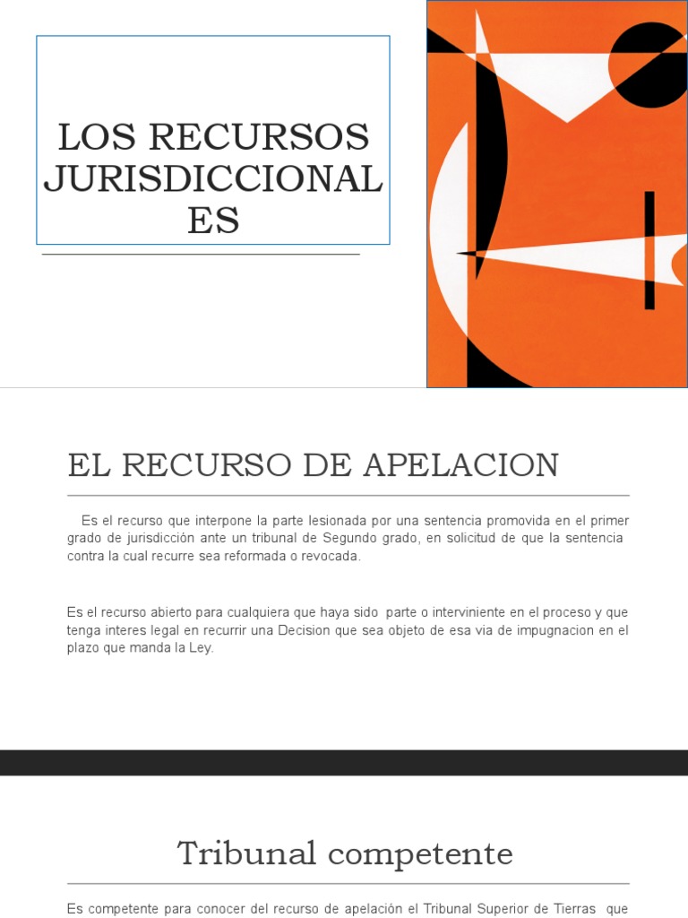 Los Recursos Jurisdiccionales | PDF