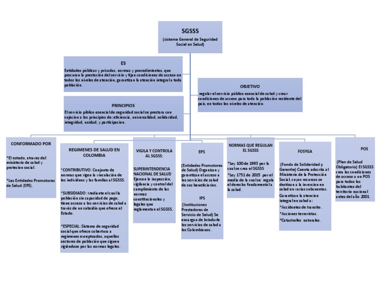 SGSSS: Objetivo Principios | PDF