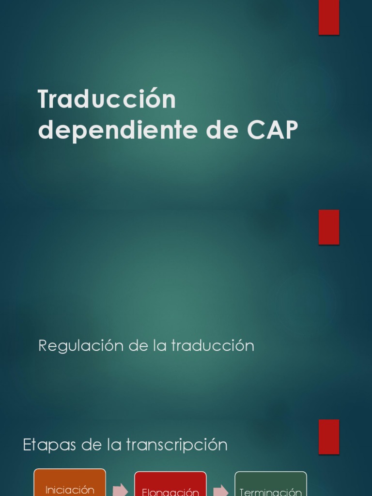 Traducción Dependiente de CAP | PDF | Traducción (biología) | Ribosoma