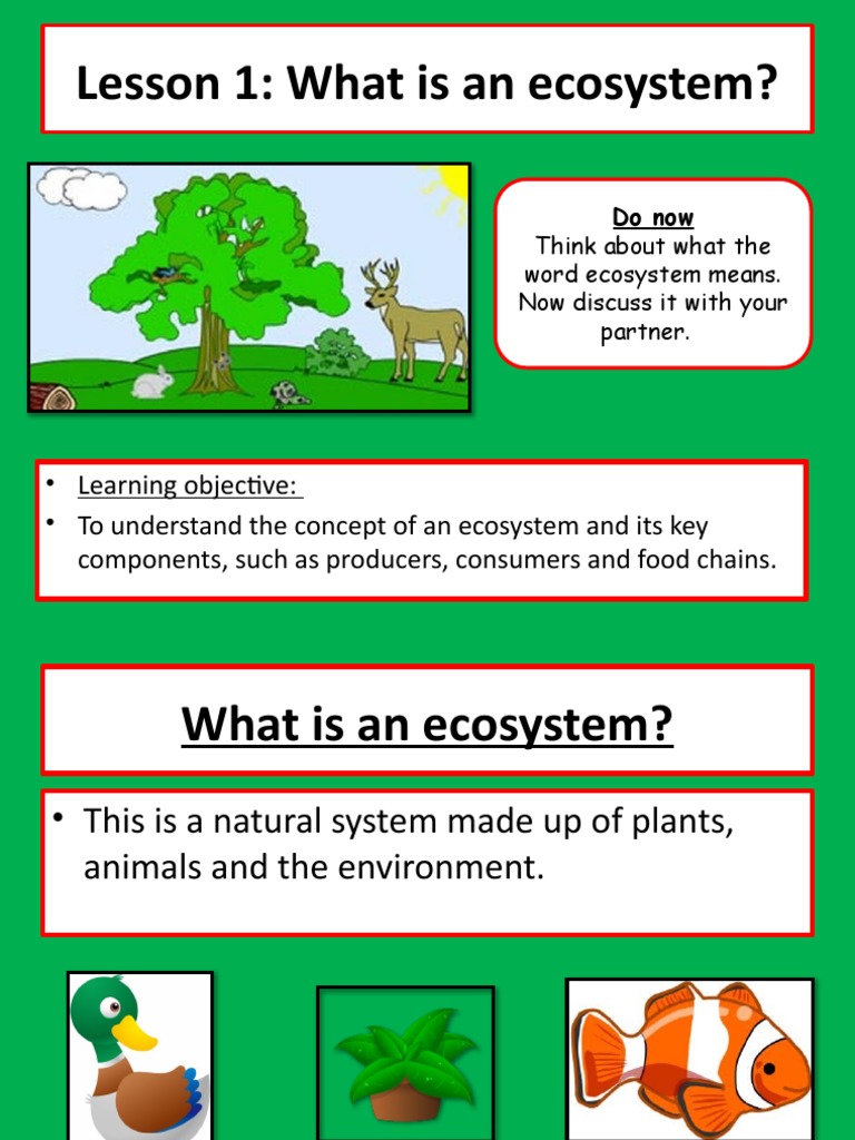 Lesson 1. What Is An Ecosystem | PDF | Ecosystem | Plants