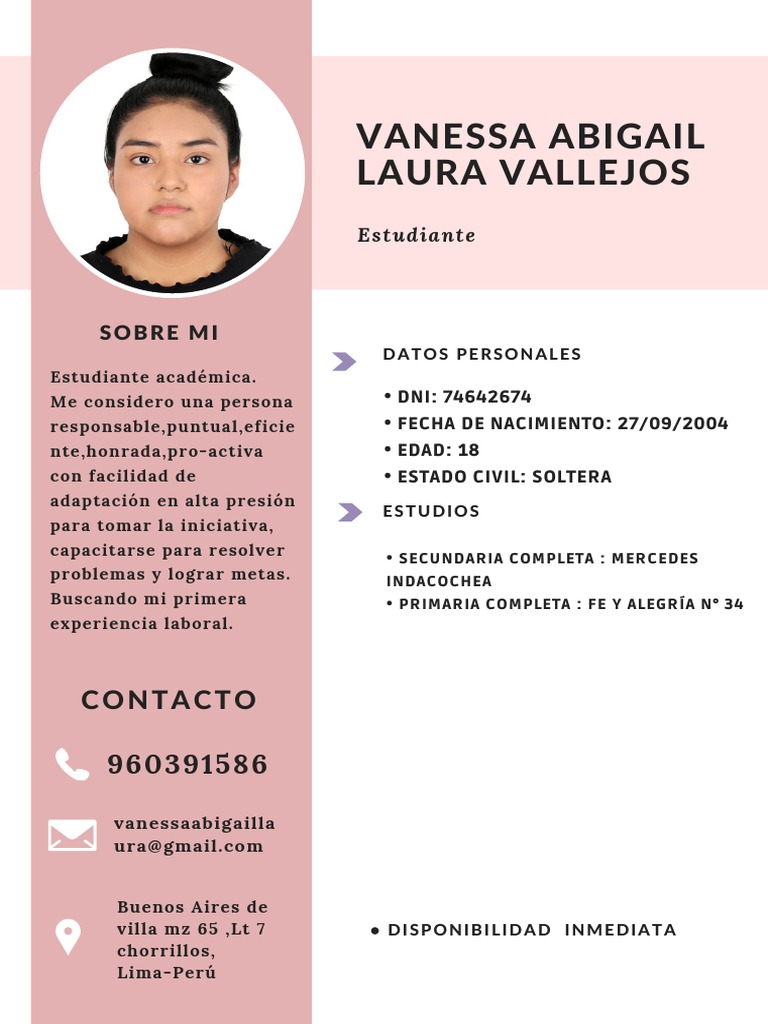 EJEMPLO DE CV CV Vanessa Laura | PDF
