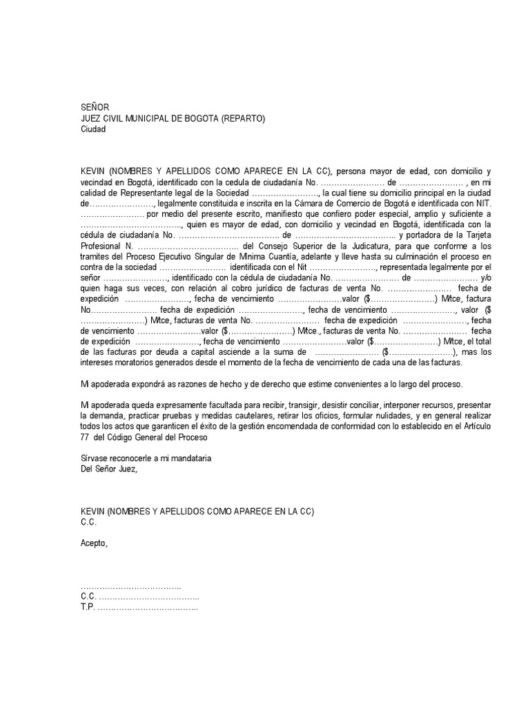 Poder Ejecutivo Con Facturas Modelo | PDF | Justicia | Crimen y violencia
