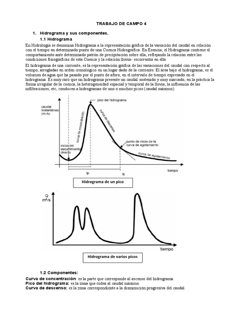 Hidrogramas y Métodos Hidrológicos | PDF | Precipitación | Cuenca de drenaje