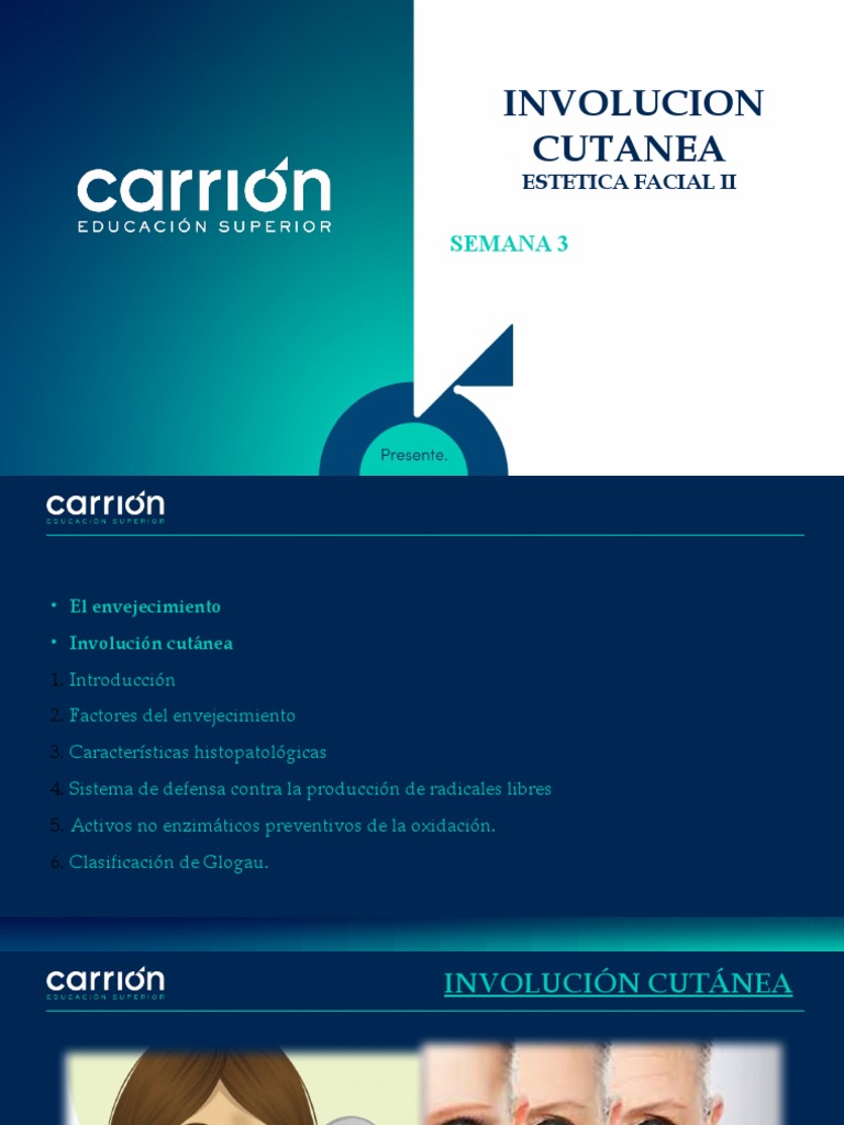 Involucion Cutanea Semana 3 | PDF | Antioxidante | Piel
