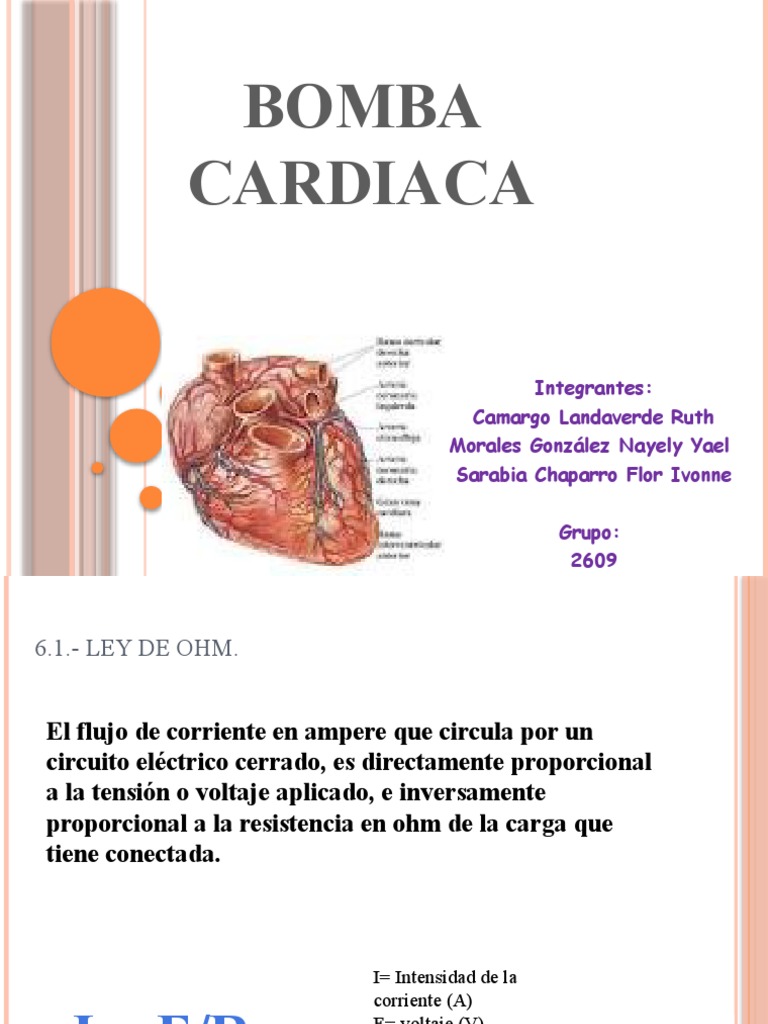 BOMBA CARDIACA Expo | PDF | Numero Reynolds | Ingeniería mecánica