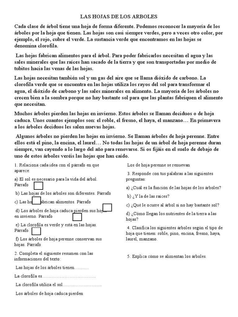 LAS HOJAS DE LOS ARBOLES Miercoles 18 Enero TRABAJO | PDF | Hoja | Arboles