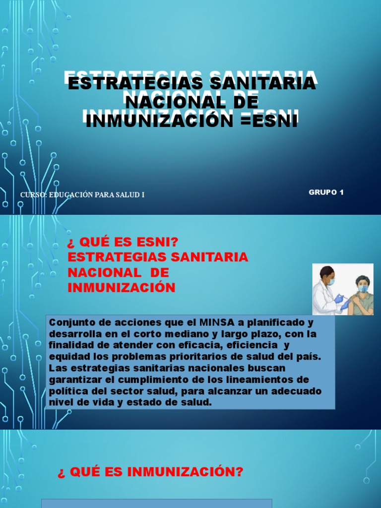 Estrategias Sanitaria Nacional de Inmunización Esni | PDF