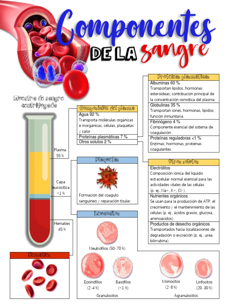 Componentes de La Sangre | PDF | Sangre | Leucocito