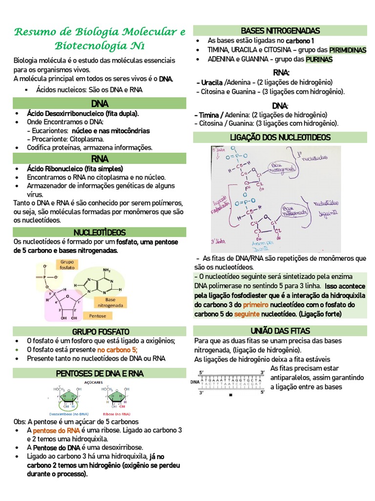 Resumo de Biologia molecular | PDF