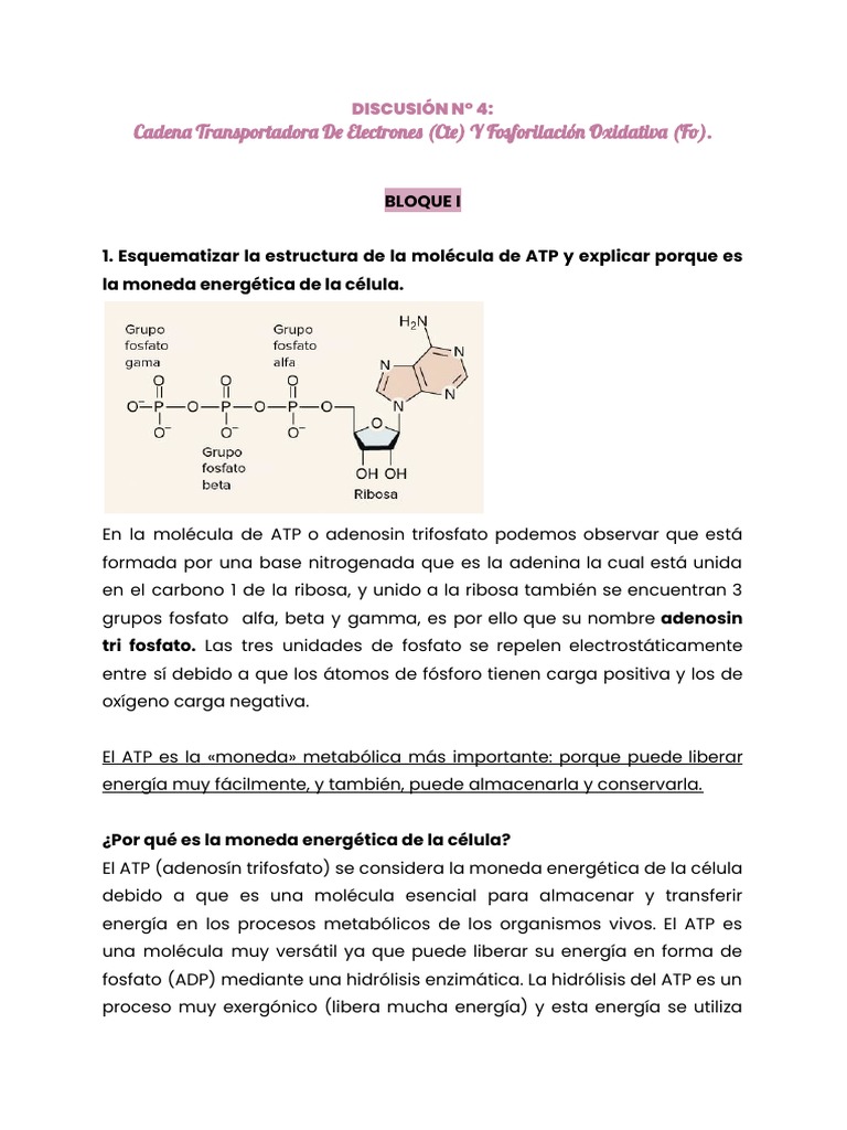 Discu 4 Cadena Transportadora de Electrones | Descargar gratis PDF | Trifosfato de adenosina ...