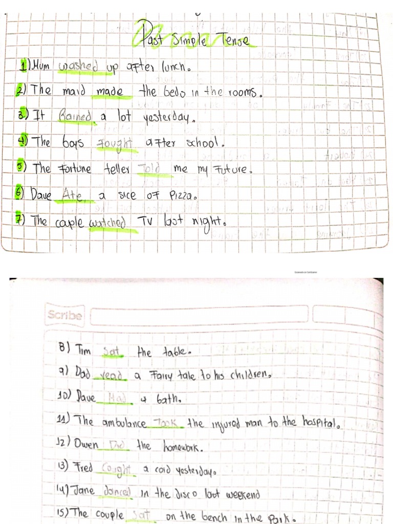 Past Simple Tense | PDF